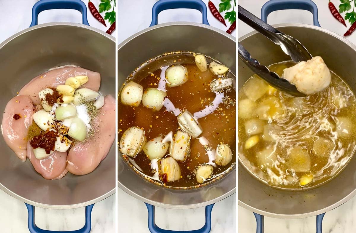 Chicken Tinga - fed by sab