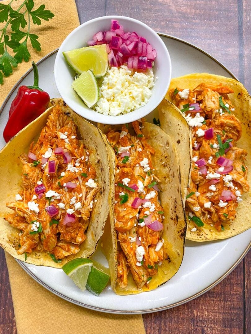 Chicken Tinga - fed by sab