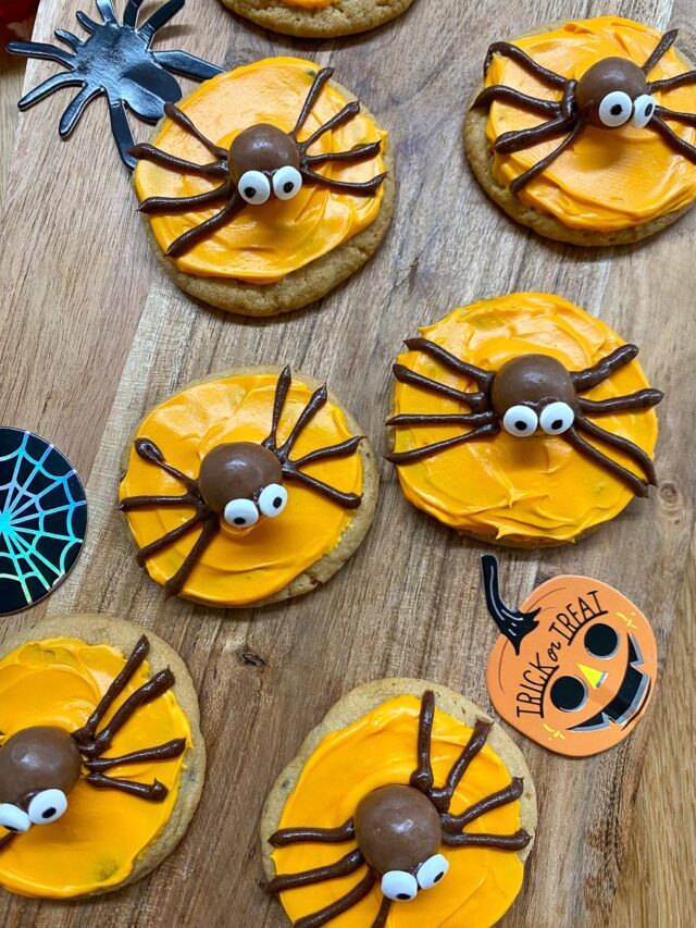 Spider Cookies - fed by sab