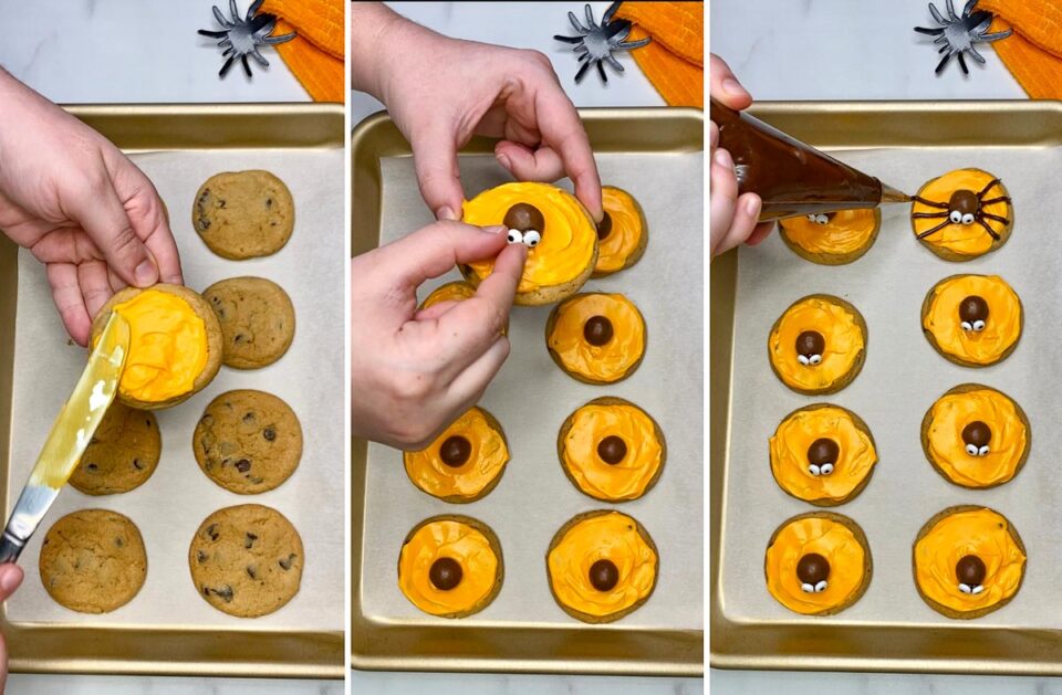 Spider Cookies - fed by sab