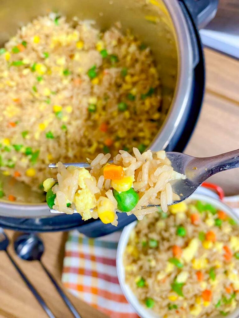 Instant Pot Fried Rice - fed by sab